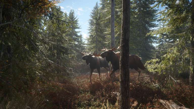 theHunter: Call of the Wild – Top Deal 1,95€ | at Steam - Preisjäger